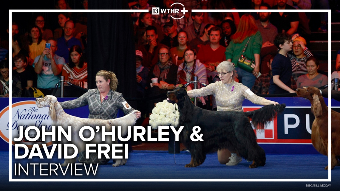 'The National Dog Show' co-hosts preview 24th annual Thanksgiving ...