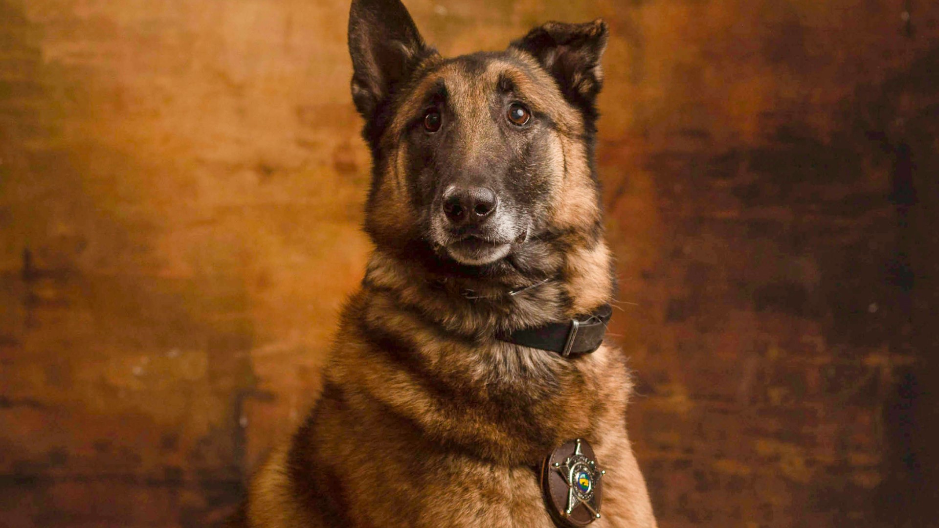 K-9 officer laid to rest in central Indiana | wthr.com