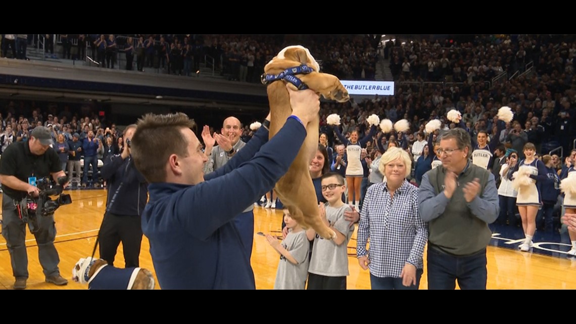 Butler Blue IV officially introduced to fans at Hinkle Fieldhouse ...