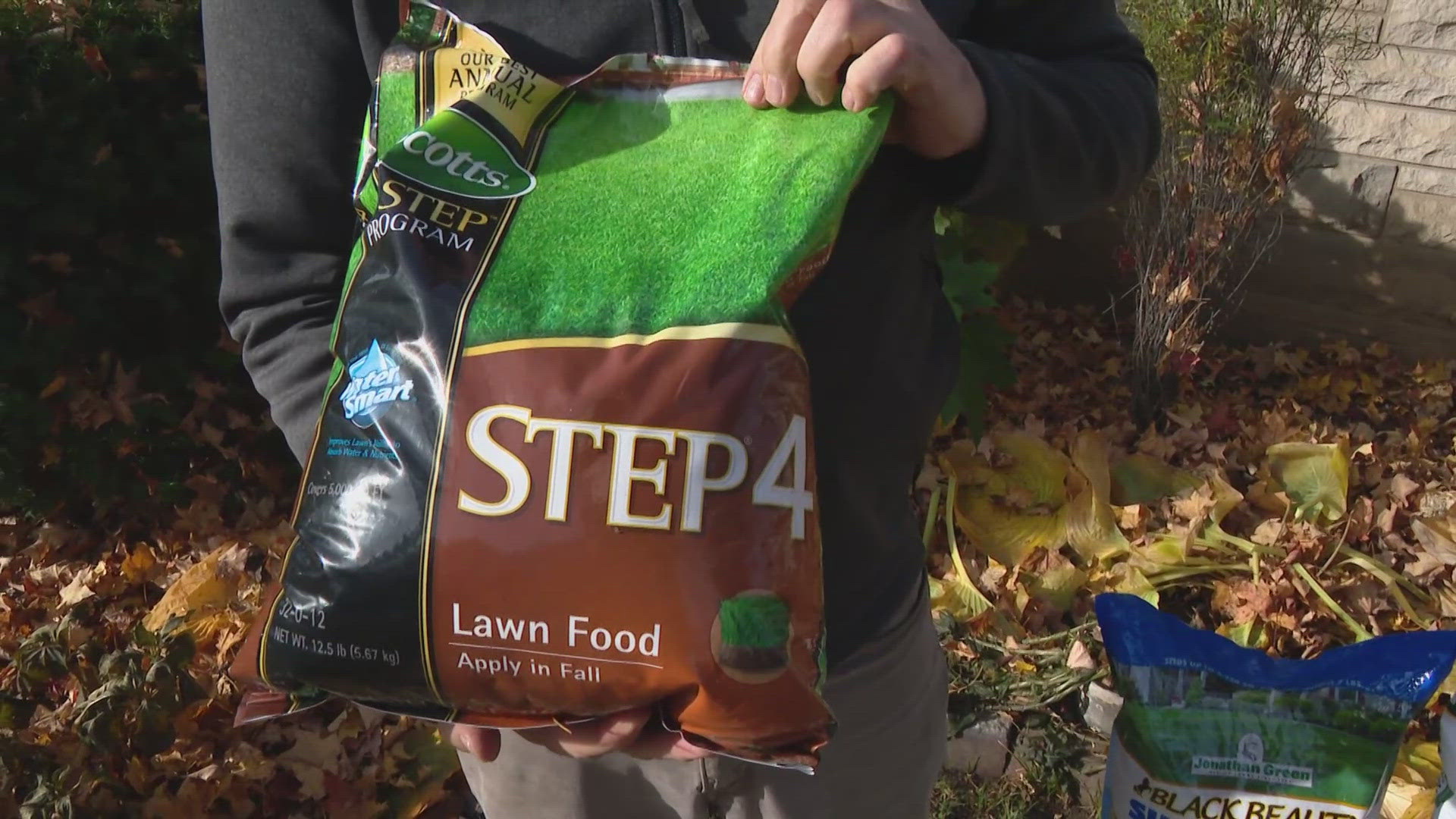 Pat Sullivan's tips on the best way to take care of your lawn this fall ...