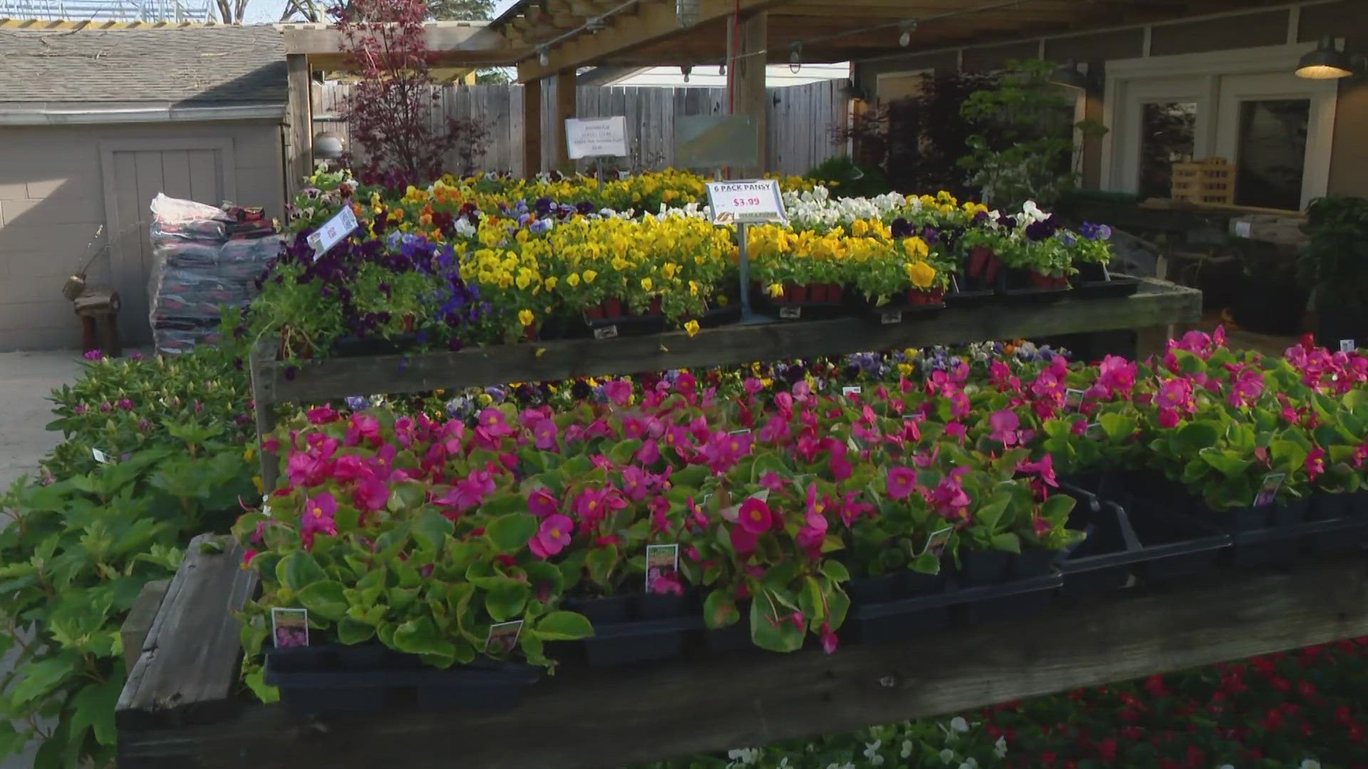 Pat Sullivan shares tips on best time to plant flowers | wthr.com