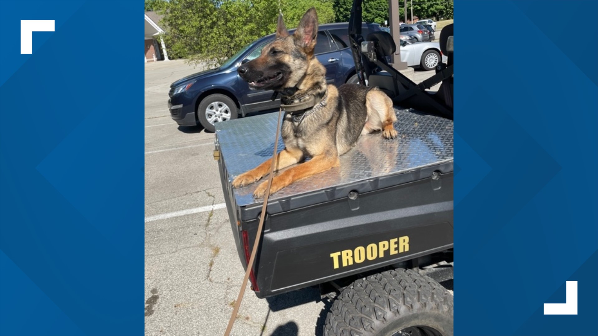 Indiana State Police K-9 to get donation of body armor | wthr.com