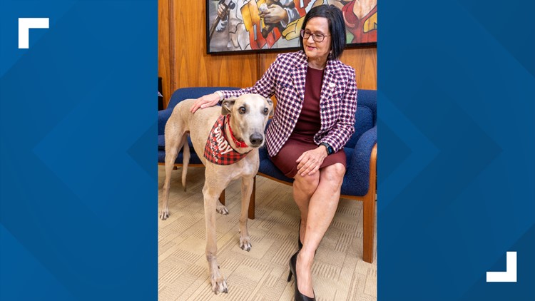 UIndy chooses Dr. Tanuja Singh as 10th president | wthr.com