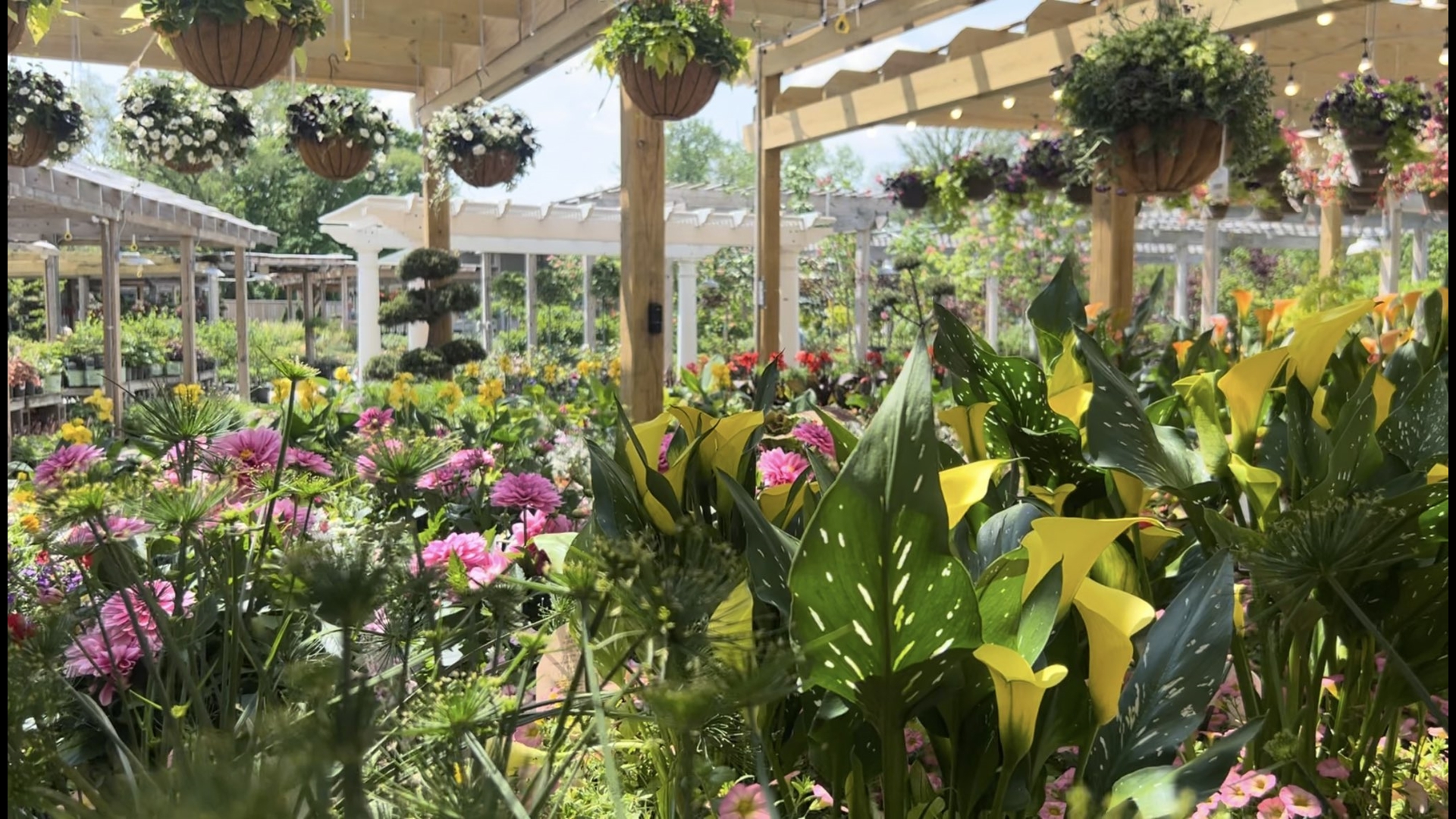 USDA changes plant hardiness zone map ahead of 2024 spring season ...