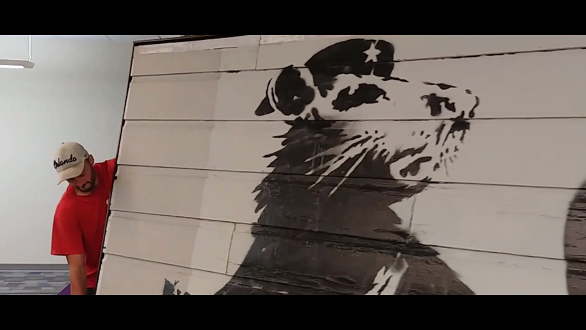 Banksy S Haight Street Rat Begins Month Long Showing At Kokomo