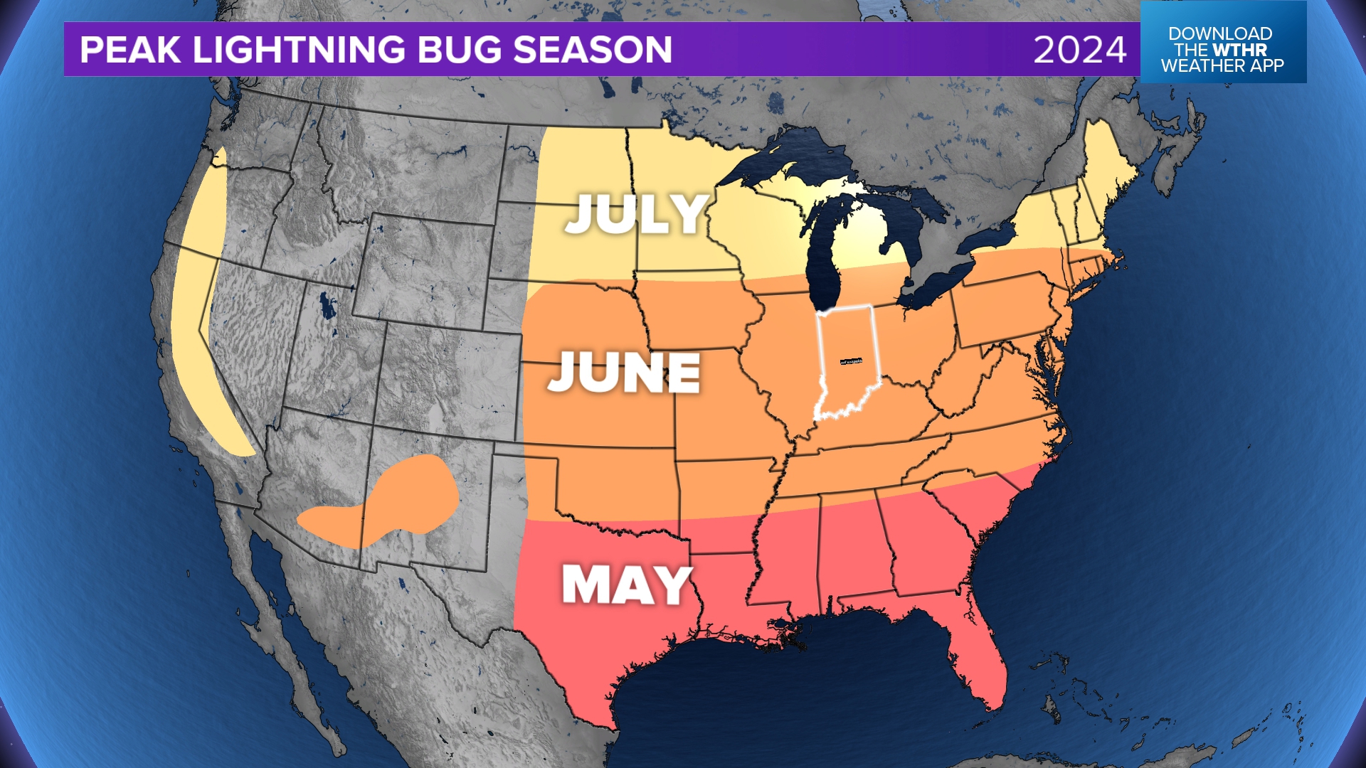 Lightning bugs are coming out faster this year | When to see them ...