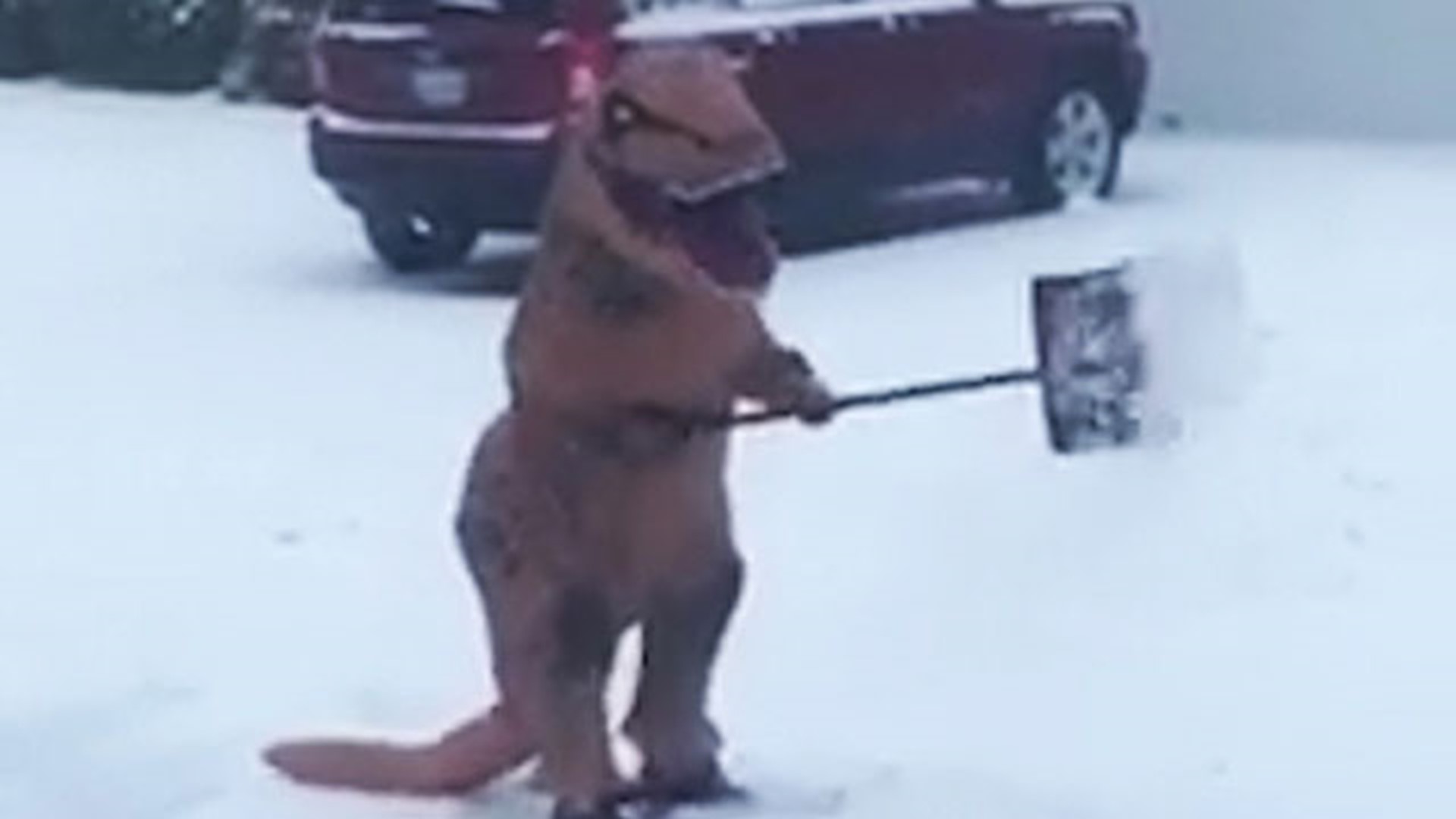 T-Rex spotted shoveling snow in Nashville | wthr.com