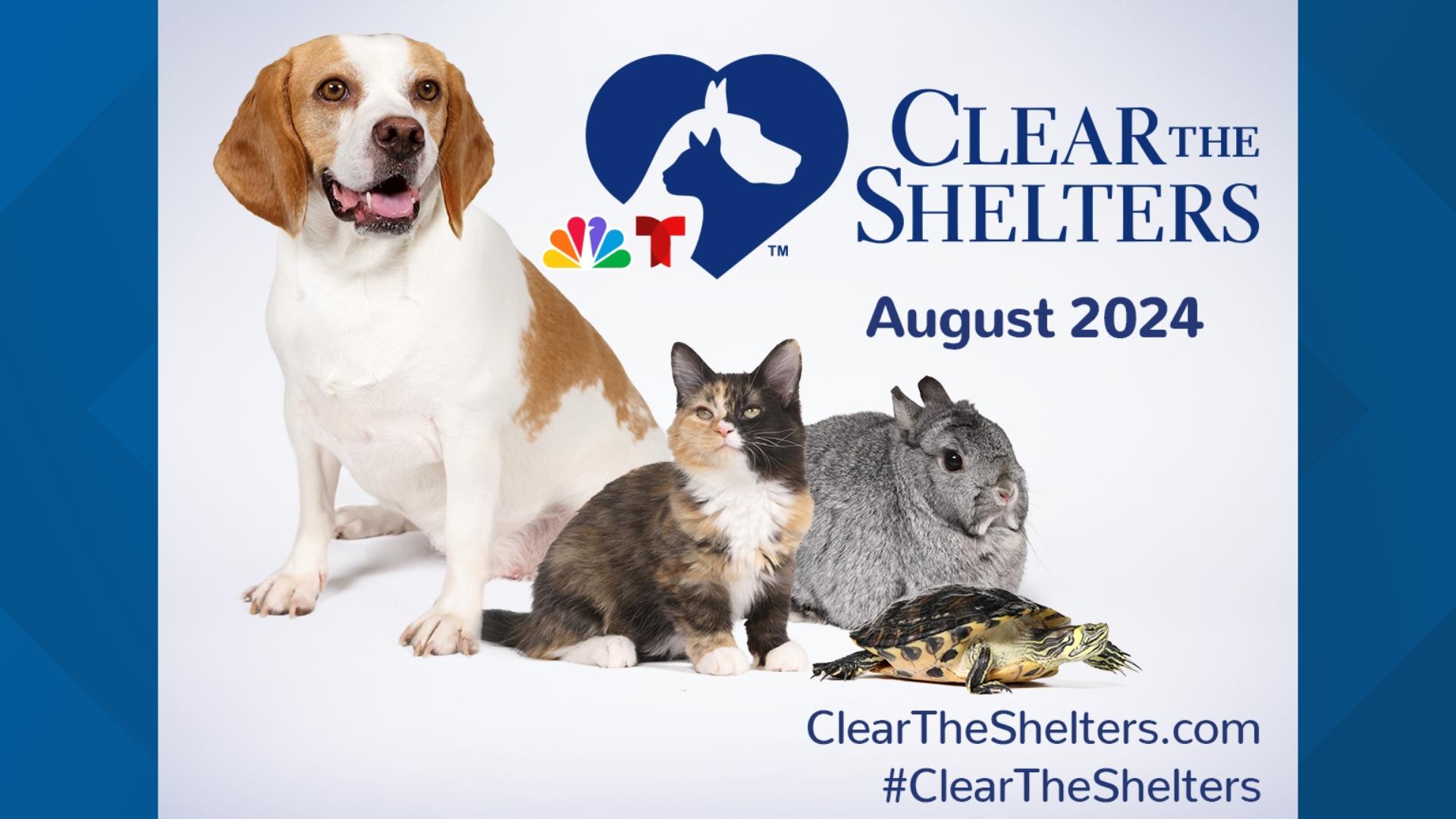 Indiana organizations taking part in 'Clear the Shelters' | wthr.com