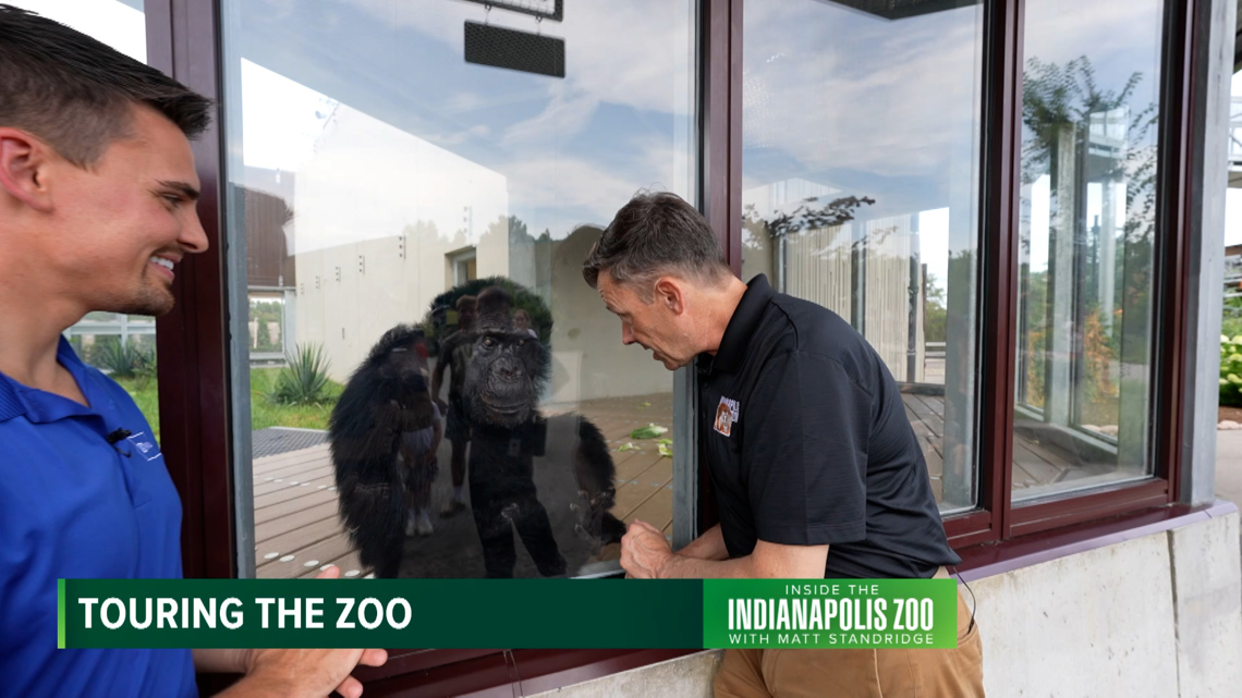 A look at the conservation efforts underway | Inside the Indianapolis ...