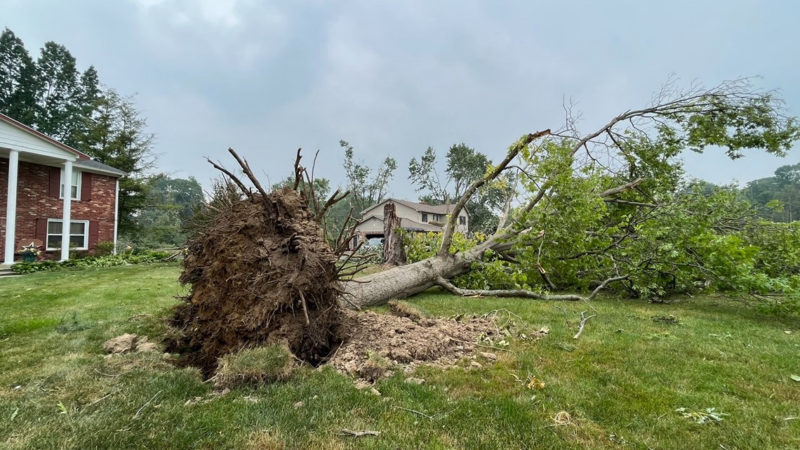 Tornado Tree Damage