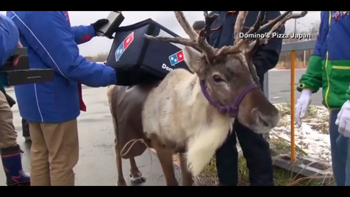 Japan Domino's tests pizza delivery by reindeer | wthr.com