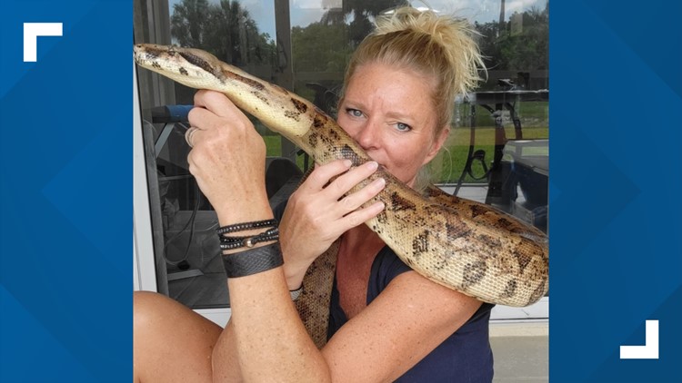 Indiana woman turns python hunting hobby into a career | wthr.com