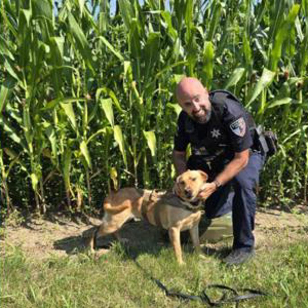 Northeastern Indiana police K-9 helps safely locate missing 2-year-old ...