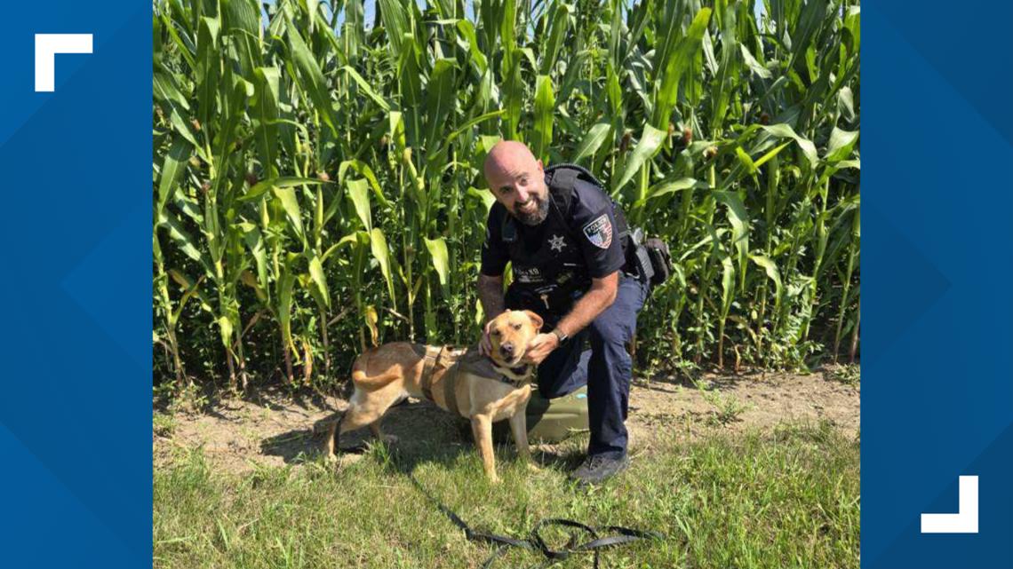 Northeastern Indiana police K-9 helps safely locate missing 2-year-old ...