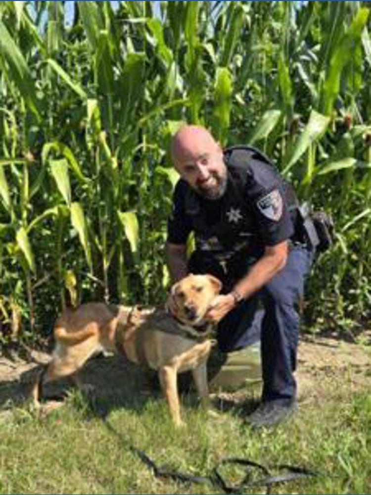 Northeastern Indiana police K-9 helps safely locate missing 2-year-old ...