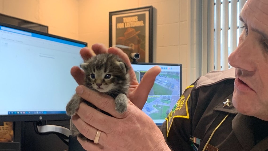 Kittens found at new Hendricks County jail facility | wthr.com