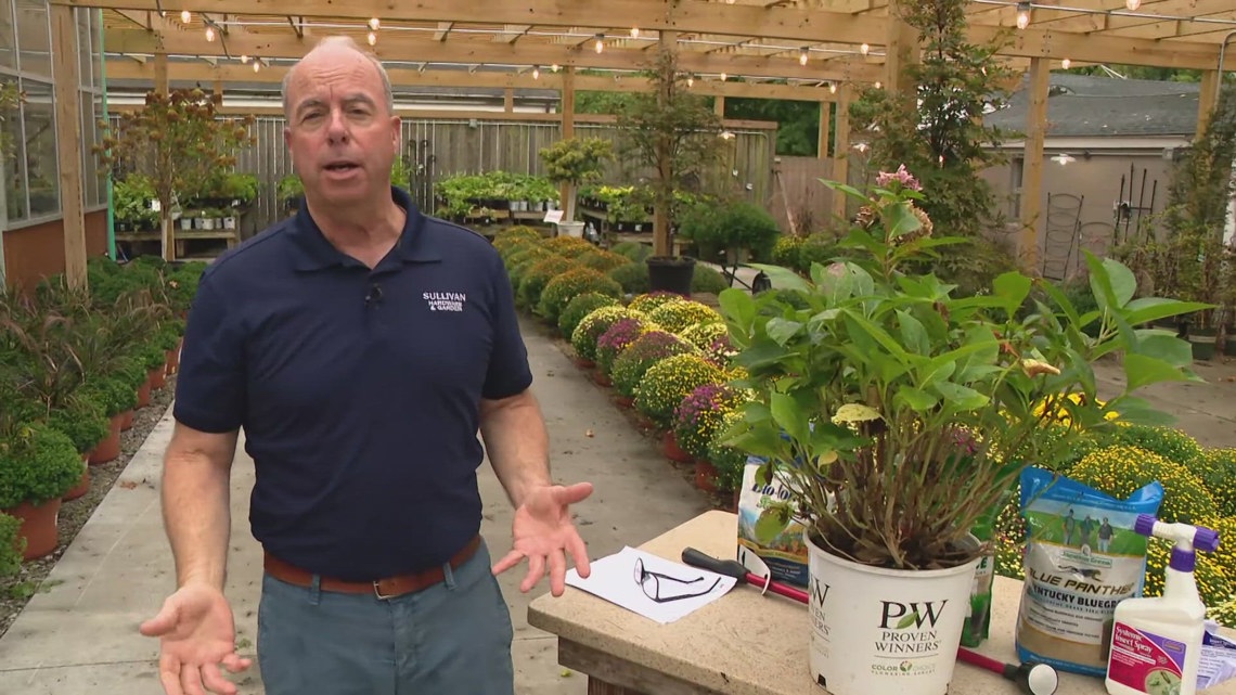 Pat Sullivan answers viewer questions | wthr.com