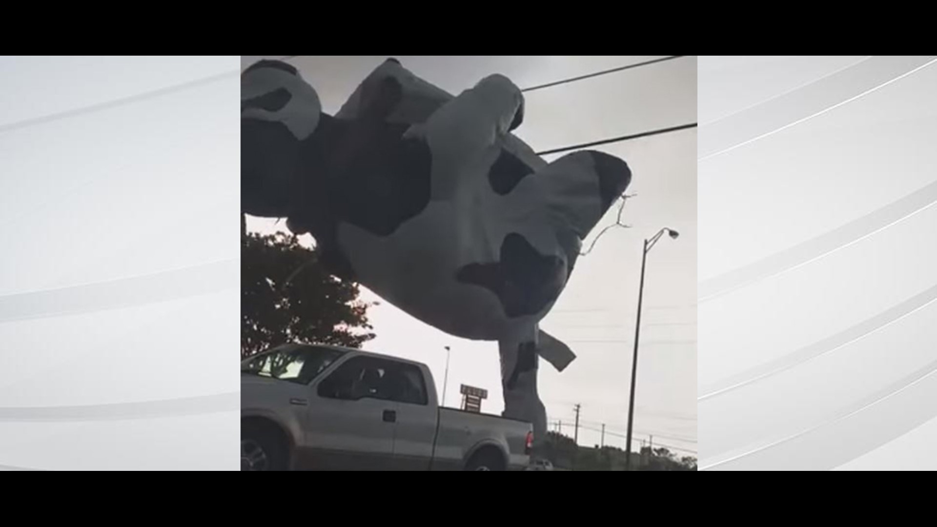 Storm lifts giant, inflatable cow into air at Chick-fil-A | wthr.com