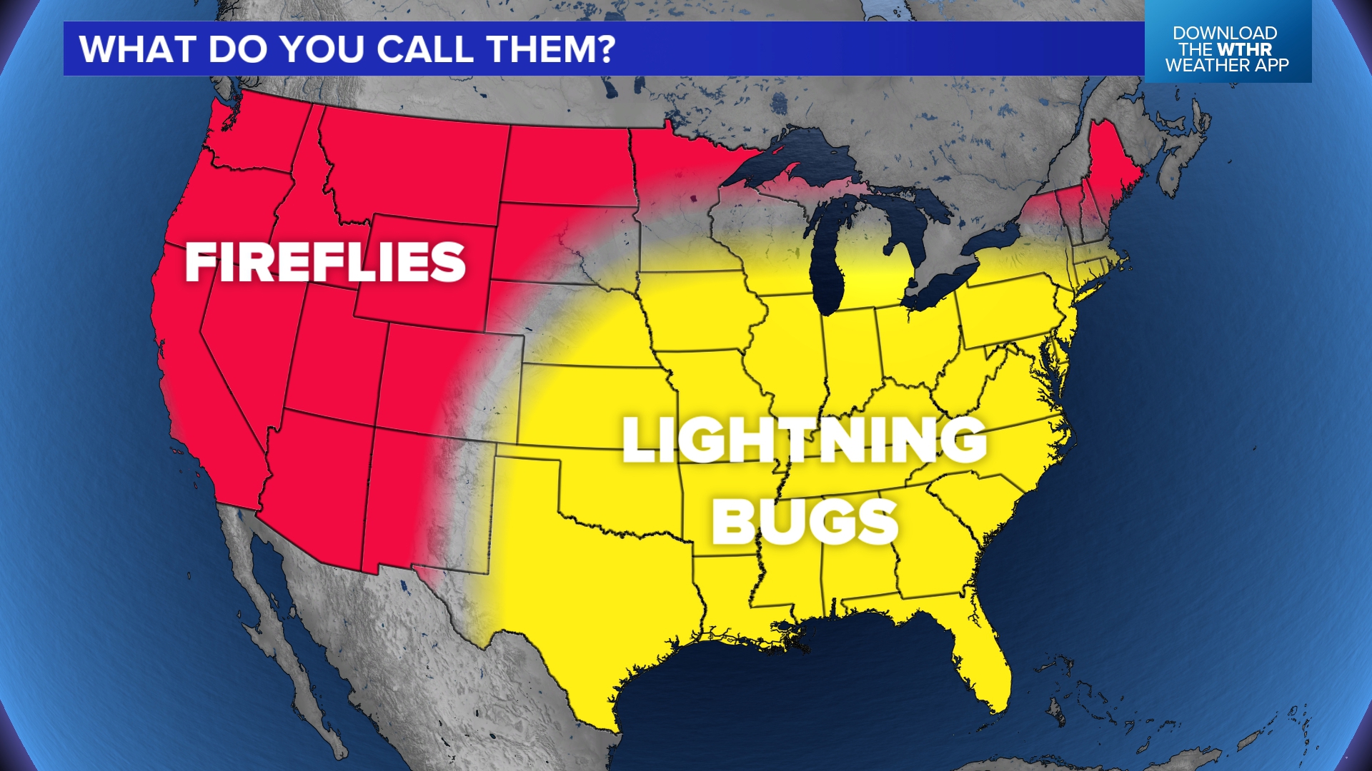 Lightning bugs are coming out faster this year | When to see them | wthr.com