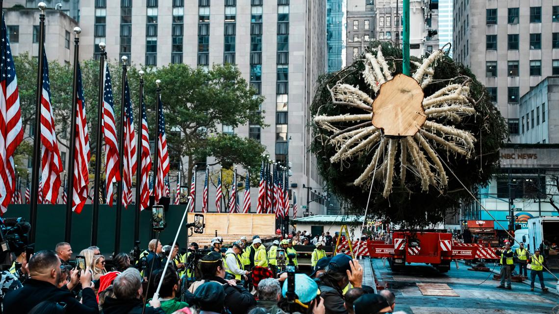 Rockefeller Center Christmas tree arrives in Manhattan, kicking off New ...