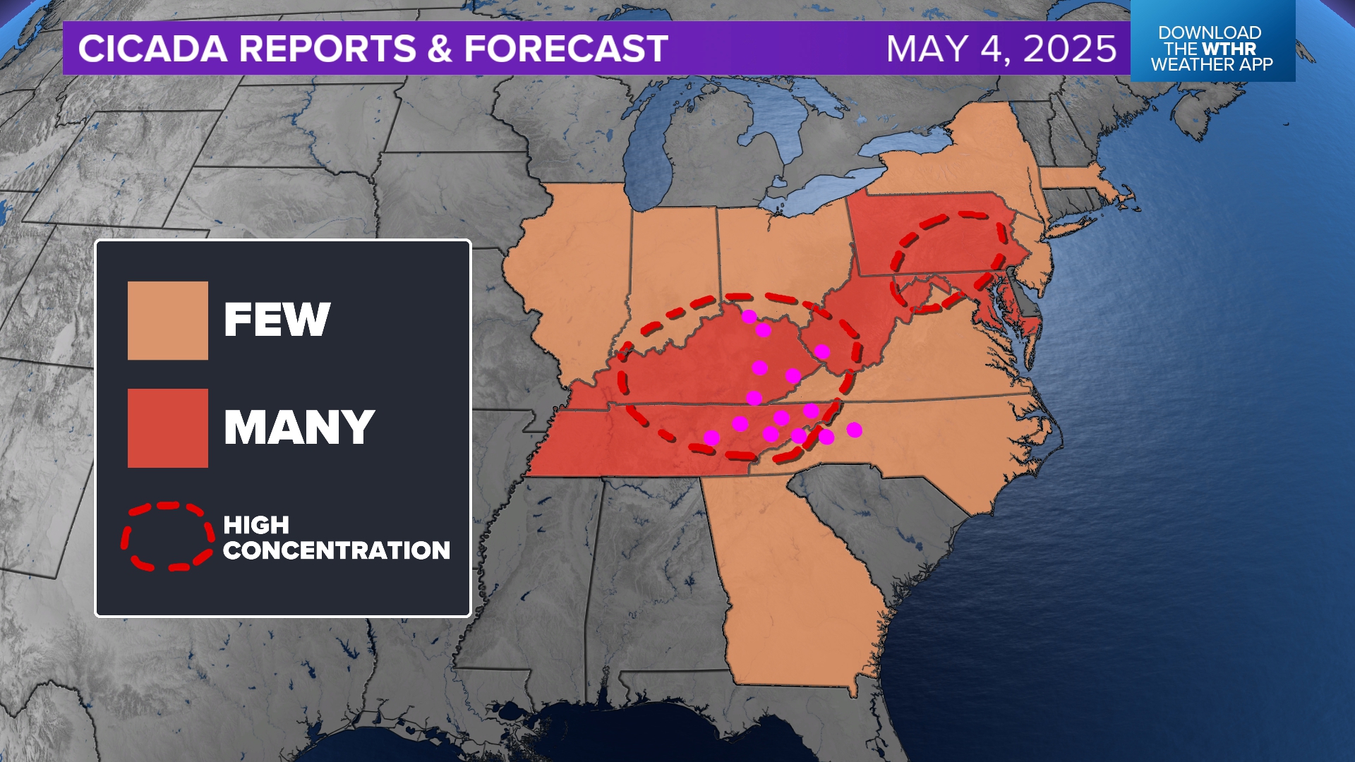 2025 Cicada emergence begins in the South, heads to Indiana next | wthr.com