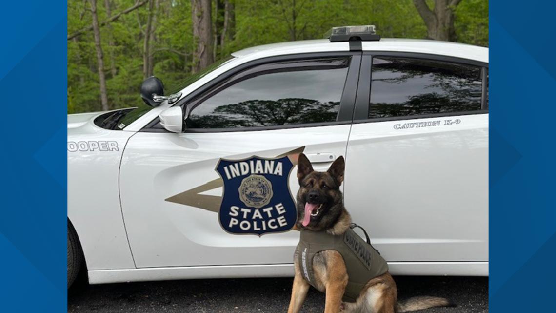 ISP K-9 receives body armor from nonprofit group | wthr.com