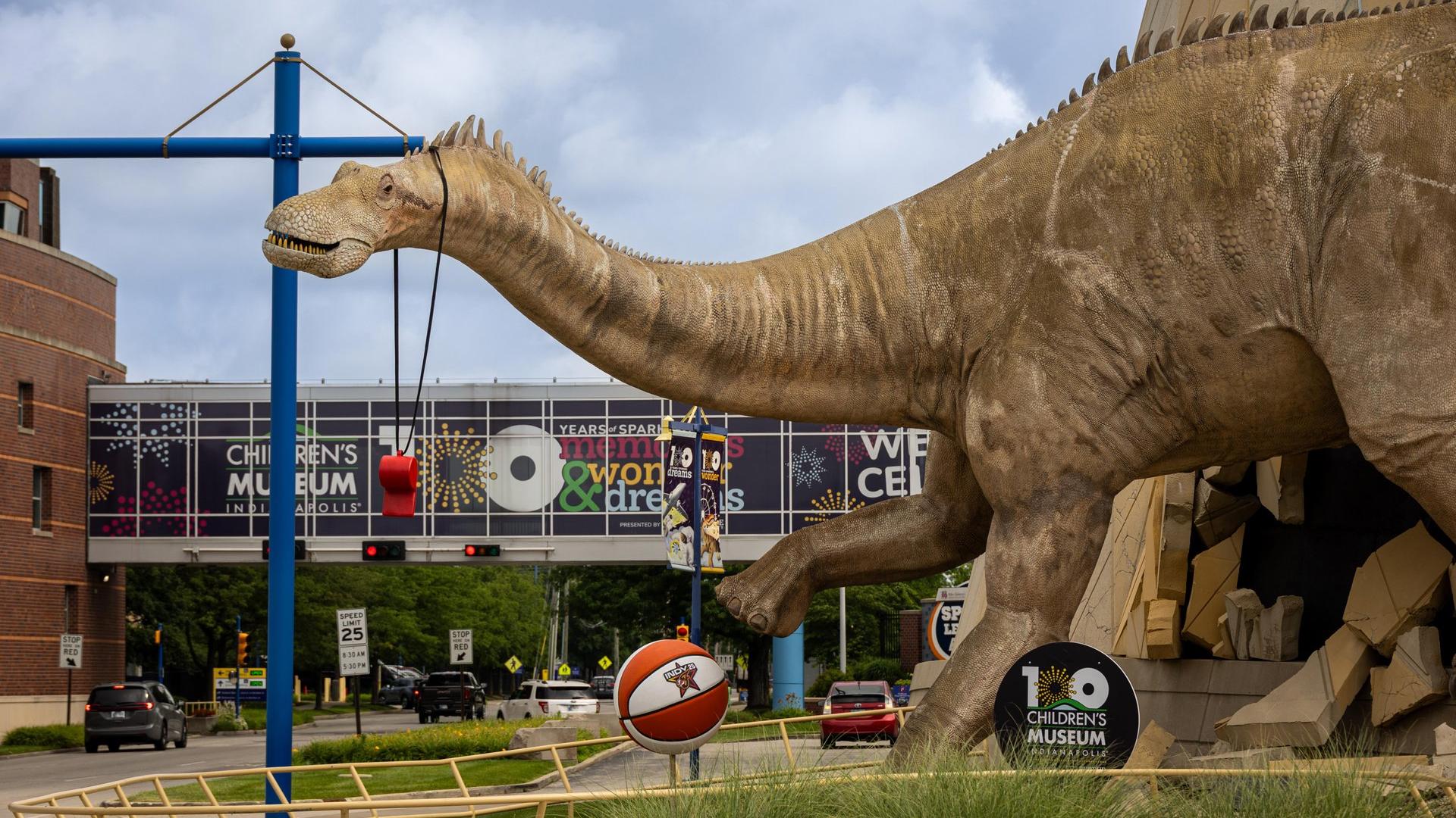 Museum decorates dinosaurs to celebrate WNBA All-Star Game | wthr.com