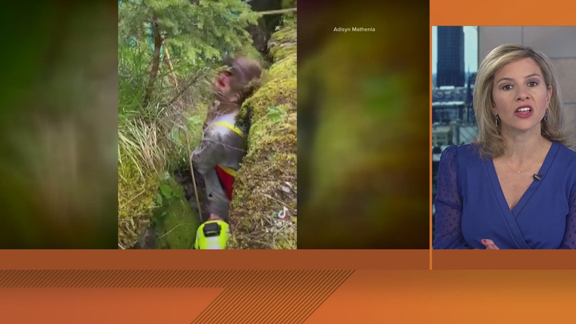 Young man survives cliff fall while hiking with a friend in Switzerland ...