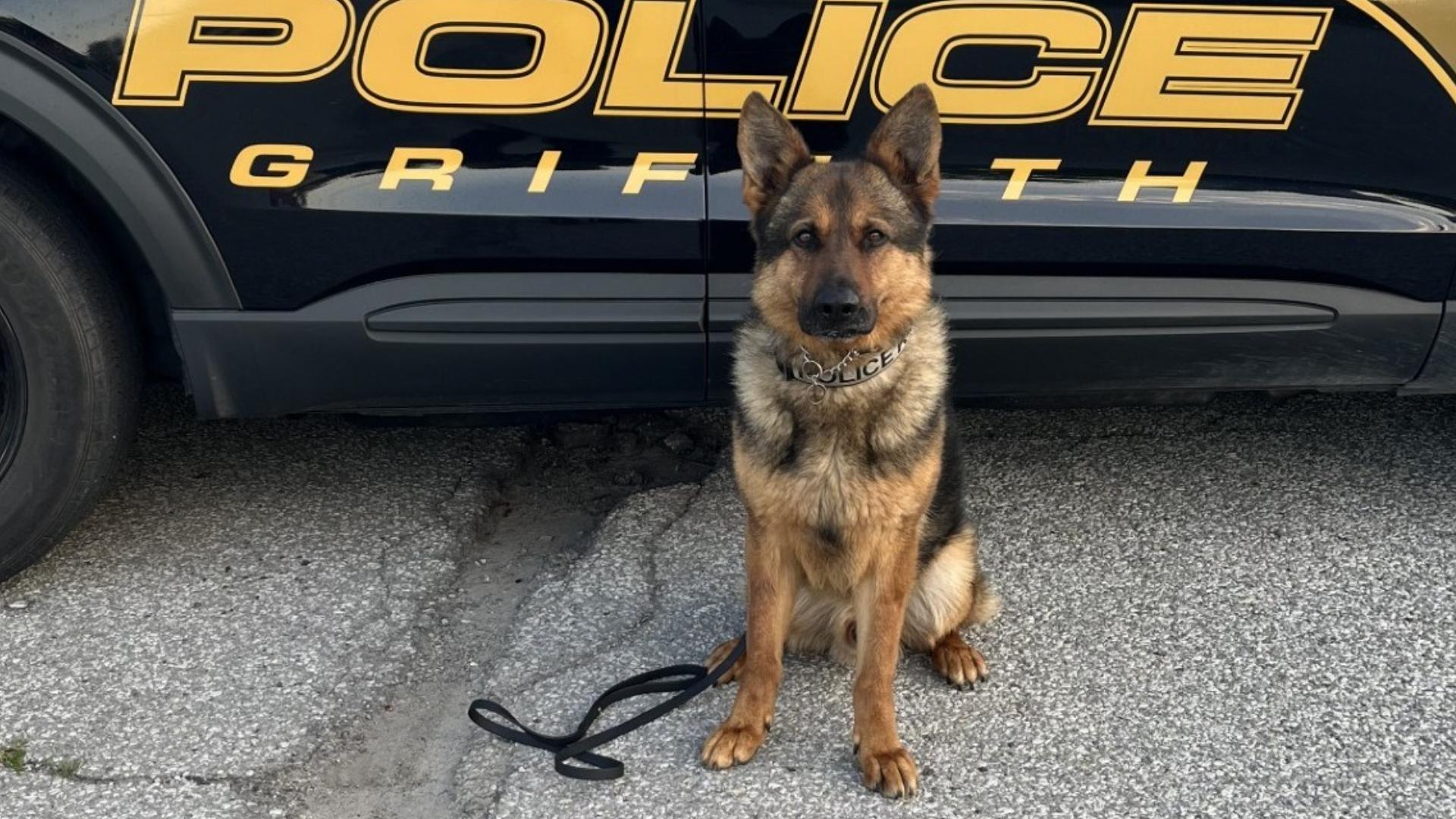 Missing person with dementia rescued by K-9 officer in northern Indiana ...