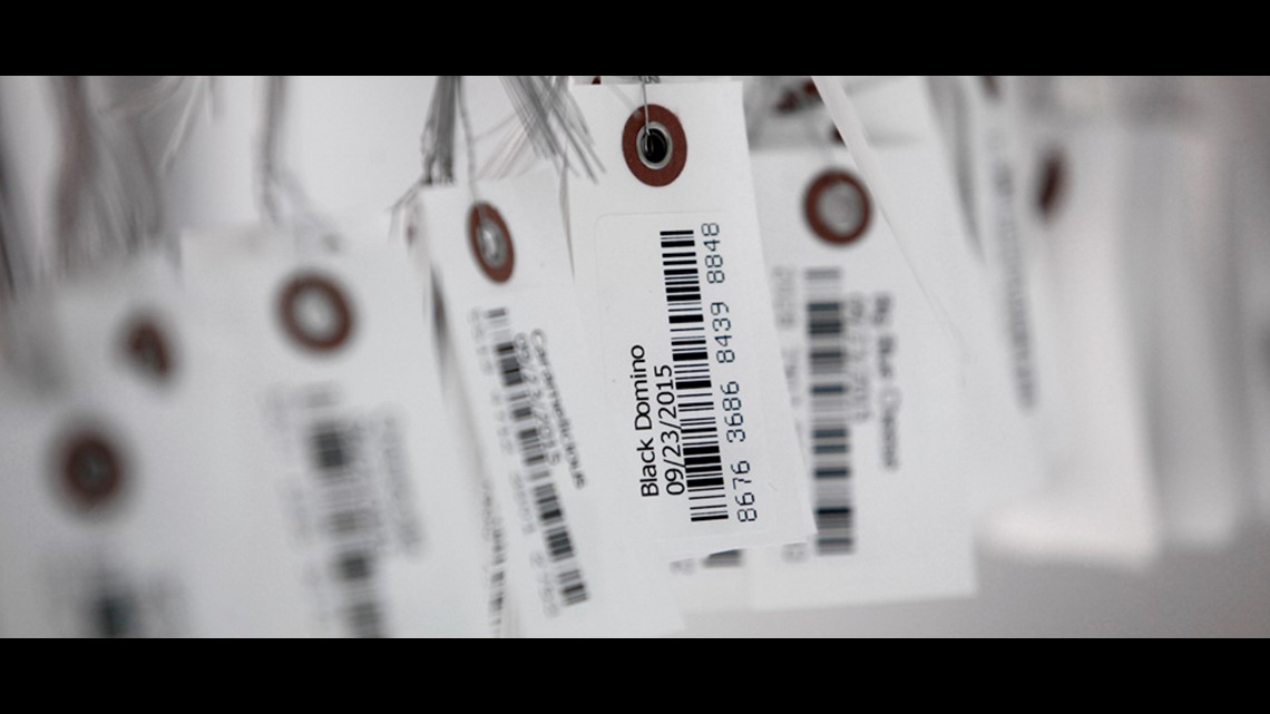 George Laurer, inventor of ubiquitous UPC, dies at 94 | wthr.com