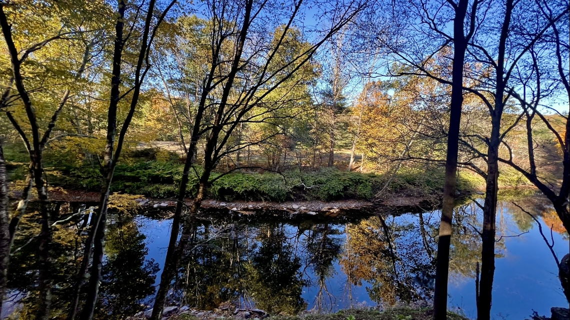 The Stourbridge Line offers scenic Pennsylvania train excrusions | wthr.com