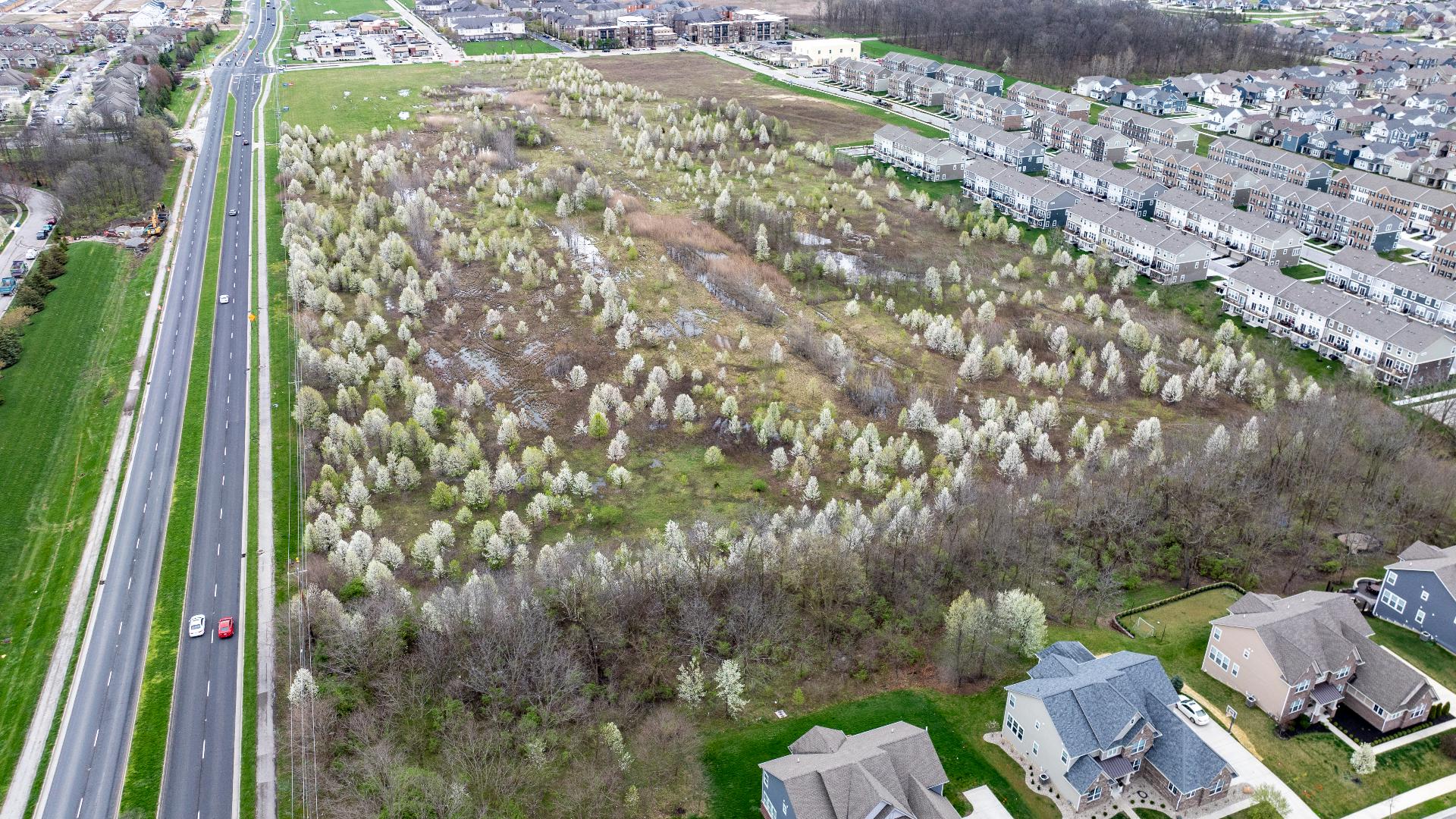 Property owners encouraged to chop down blooming trees | wthr.com