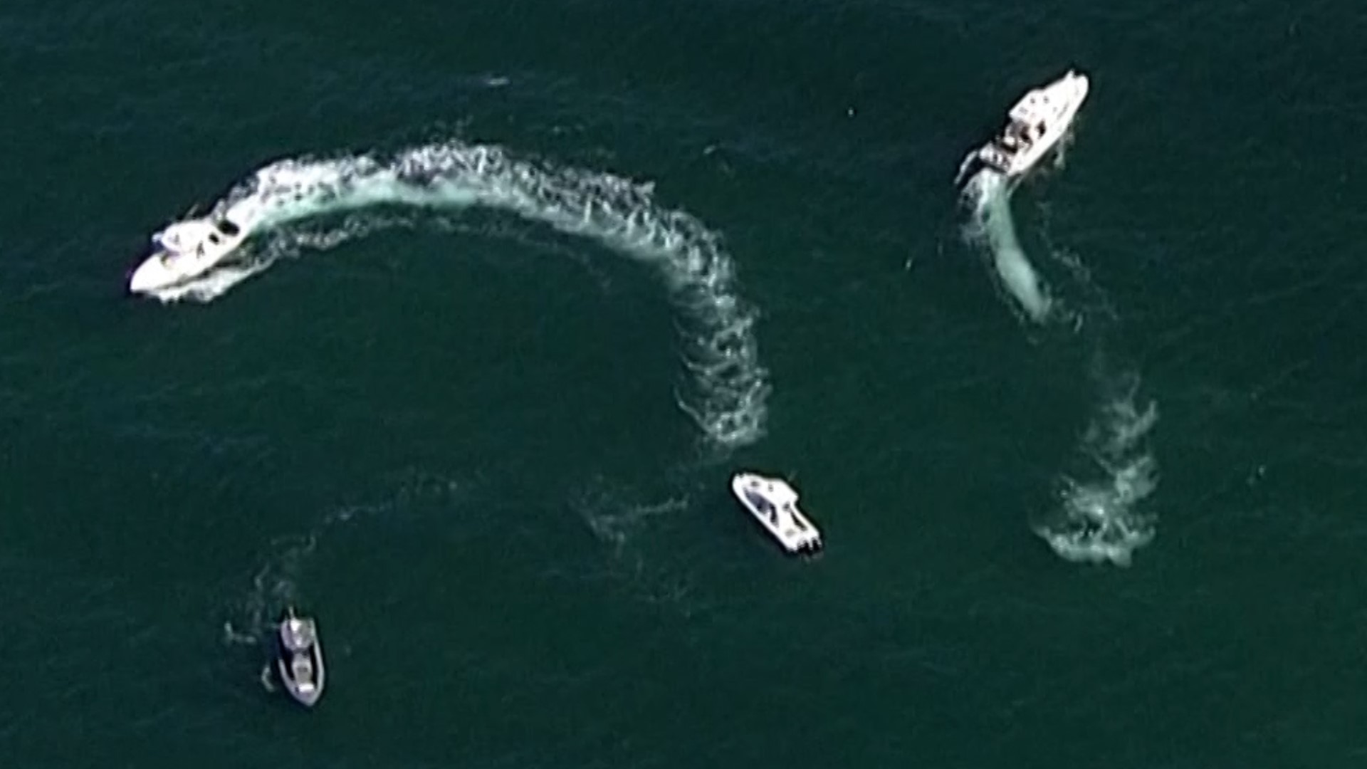 2 Indiana couples killed in plane crash in Florida | wthr.com