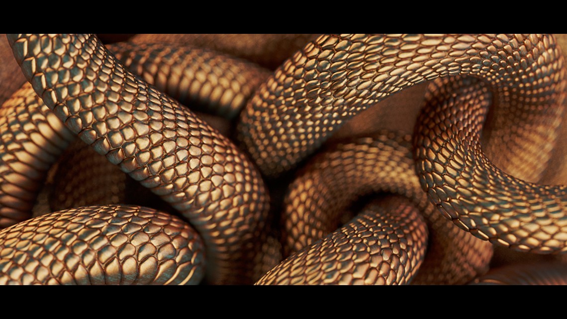 Scientists blame snakes as China struggles to contain coronavirus ...