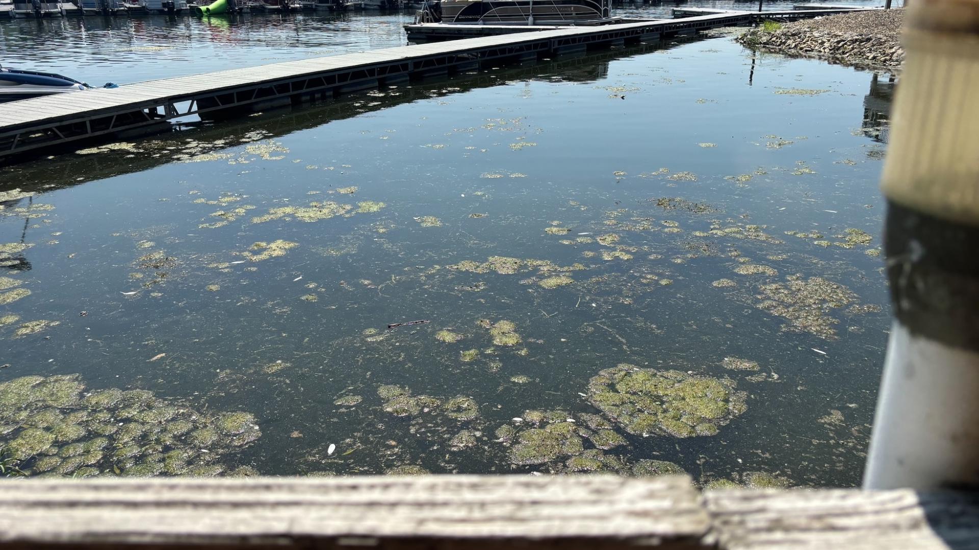 Indy residents note odd taste to tap water; Citizens says its safe to ...