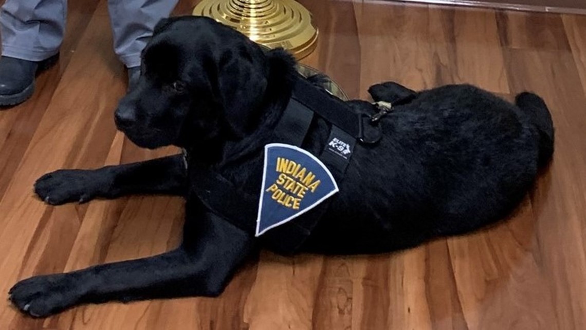 ISP adds K-9 to internet crimes team | wthr.com