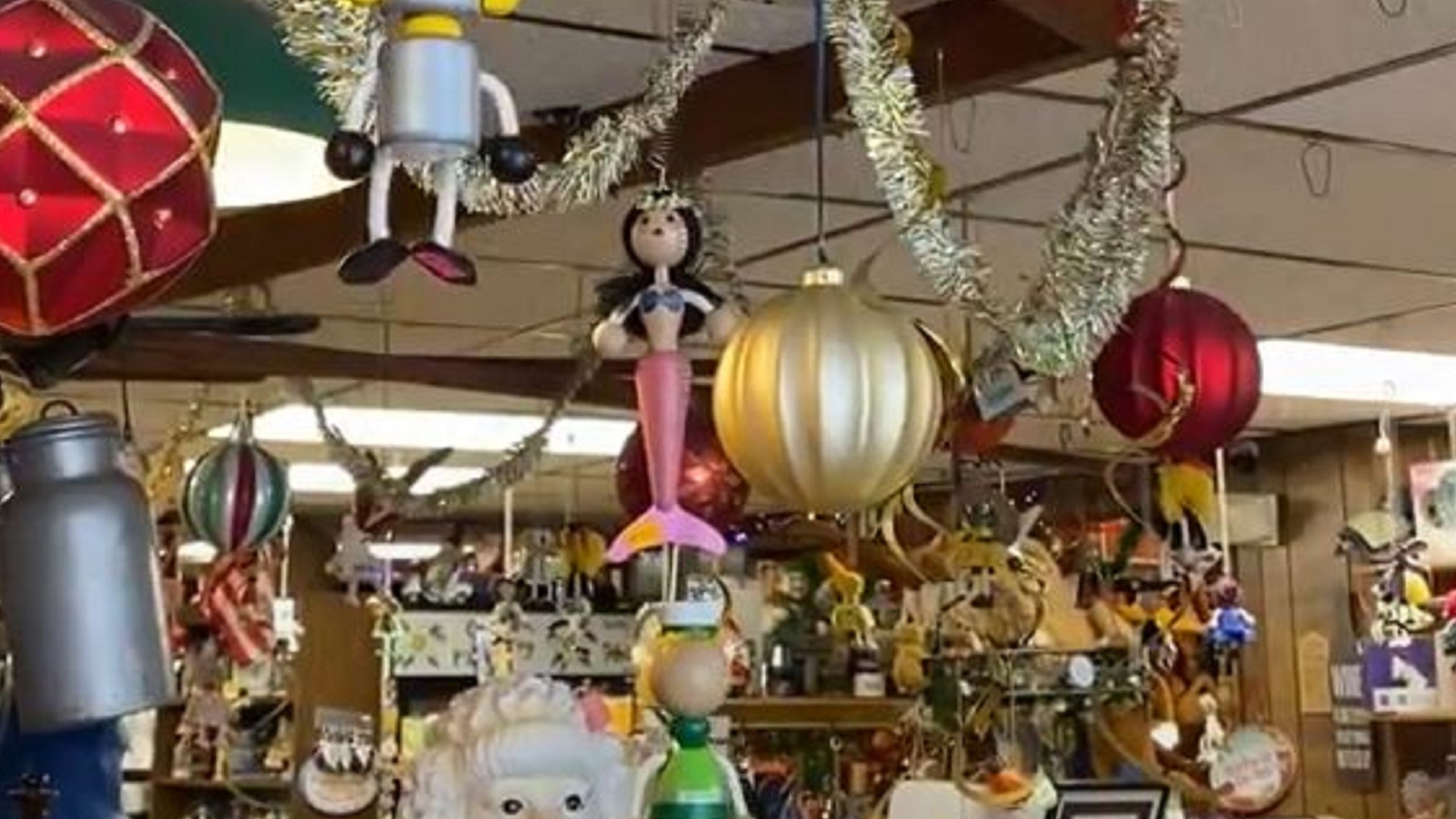 Heidelberg Haus German store | IN-Lawrence | wthr.com