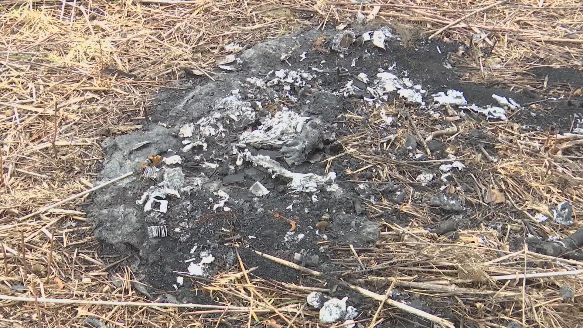 Fifth suspect charged in death of man burned alive in car in Delaware ...