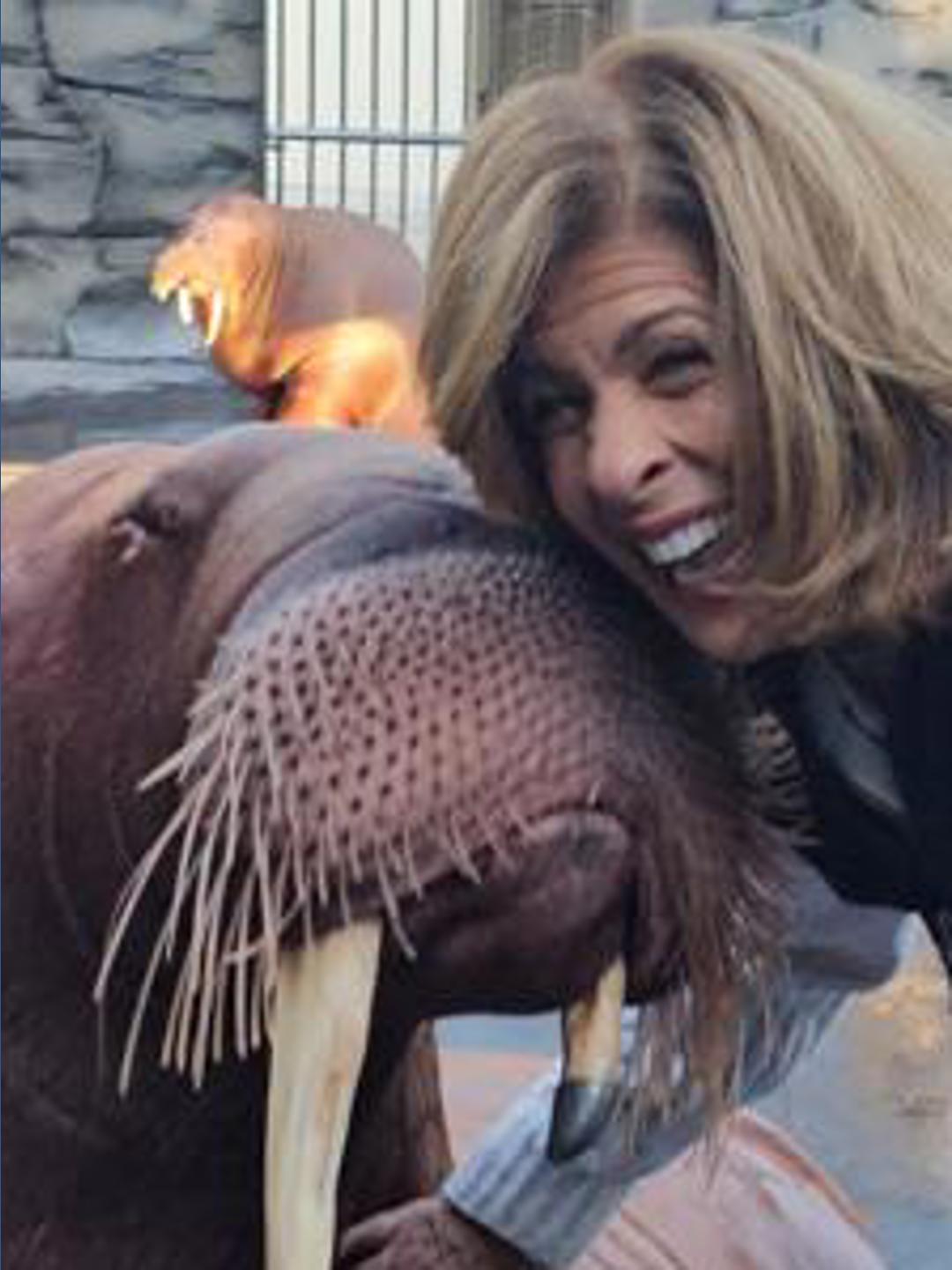 Meet 'Blue' | Indianapolis Zoo introduces new shark, gets visit from ...
