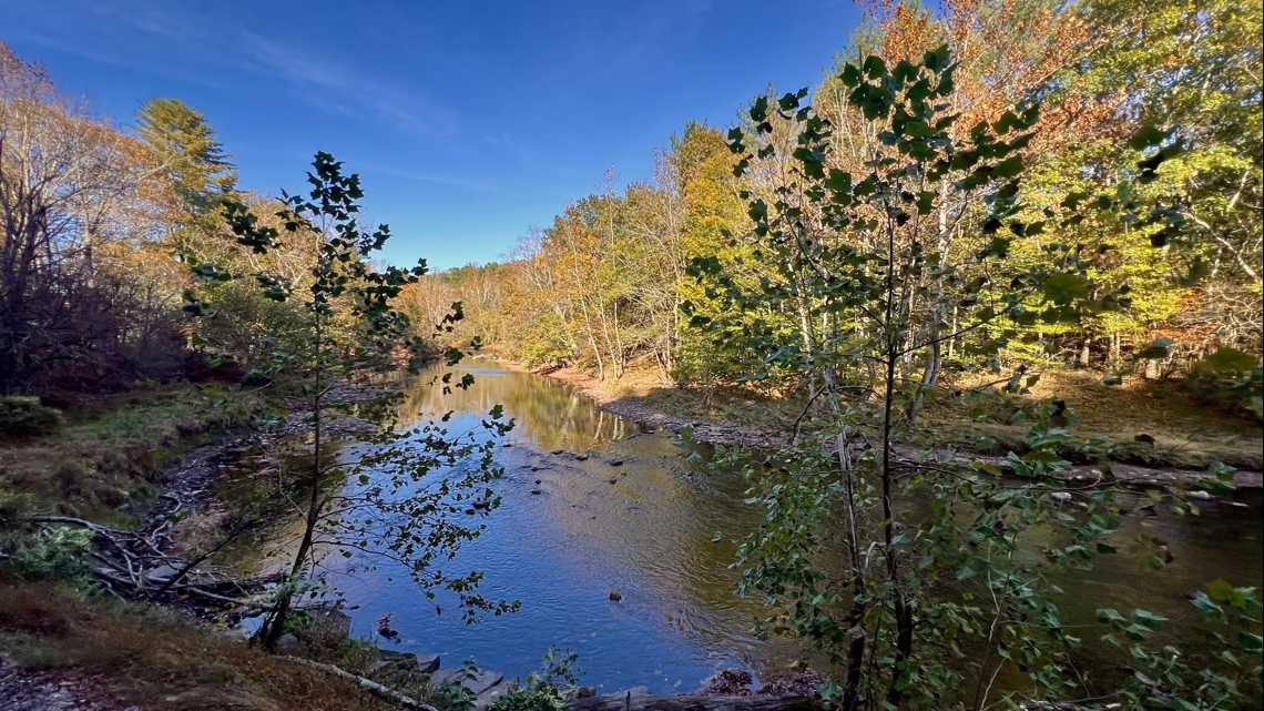 The Stourbridge Line offers scenic Pennsylvania train excrusions | wthr.com