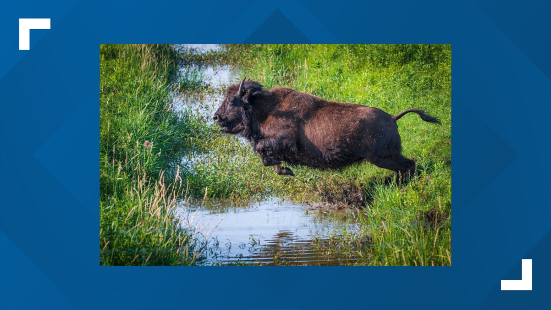 Visit Indiana highlights the 'natural wonders' of the Hoosier state ...