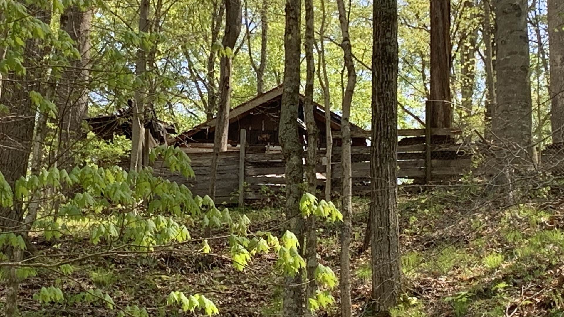 Body of Oaklee Snow found in abandoned dresser in Morgan County | wthr.com