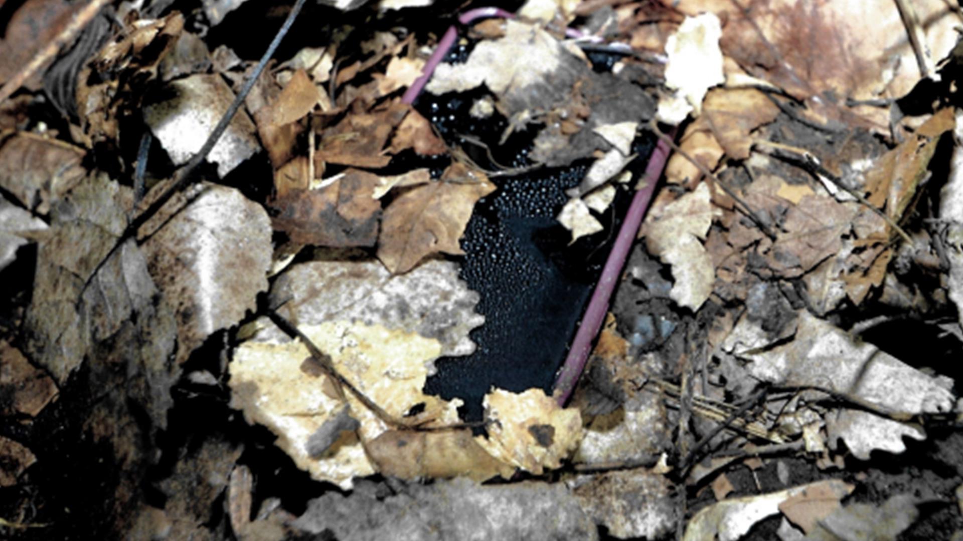 Carroll Co. prosecutor releases 3 new photos from Delphi crime scene | wthr.com