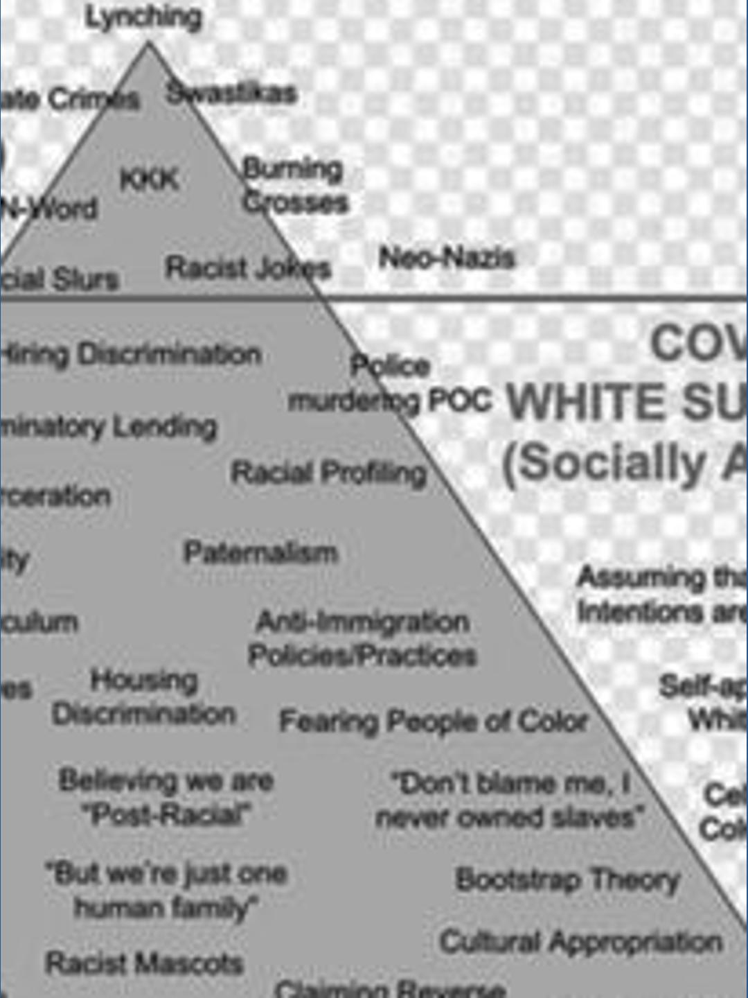 IU lecturer pulled from teaching class after student complaint on ...