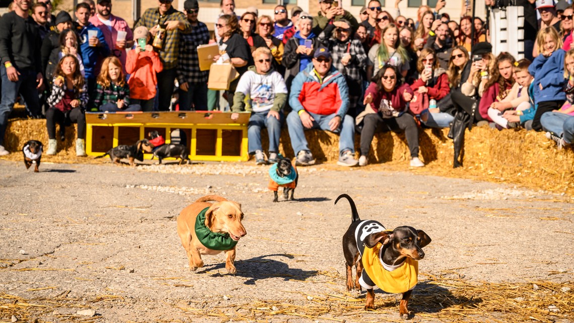 16th annual GermanFest returning to Indianapolis this fall | wthr.com