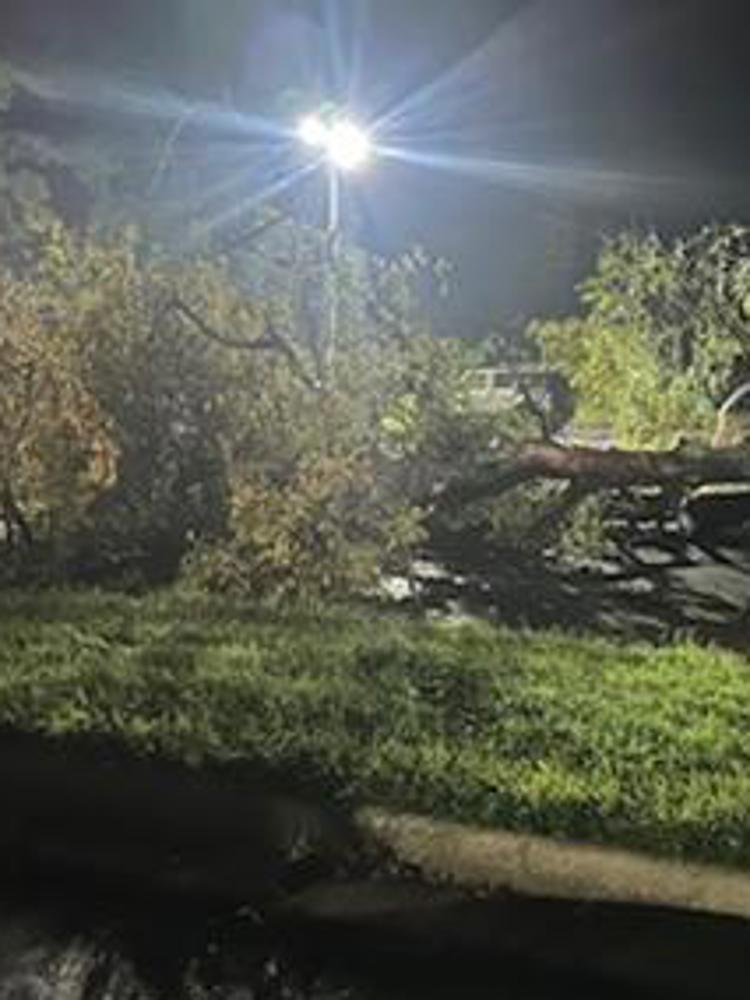 Tree traps camper, marina docks damaged in Monroe County severe storms ...