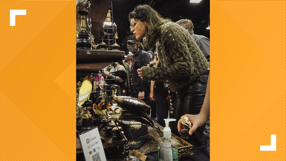 Indiana State Fairgrounds hosting Oddities and Curiosities Expo | wthr.com