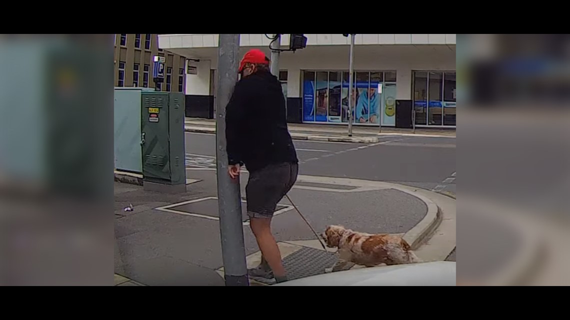 WATCH: Fired-up pedestrian walks into pole while gesturing at driver ...