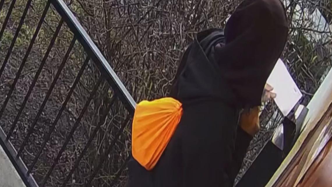 Theft caught on camera stealing mail from Indianapolis home | wthr.com