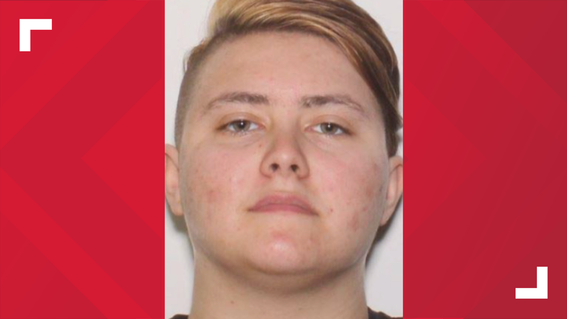 Kokomo woman, who has history of animal abuse, sentenced after ...